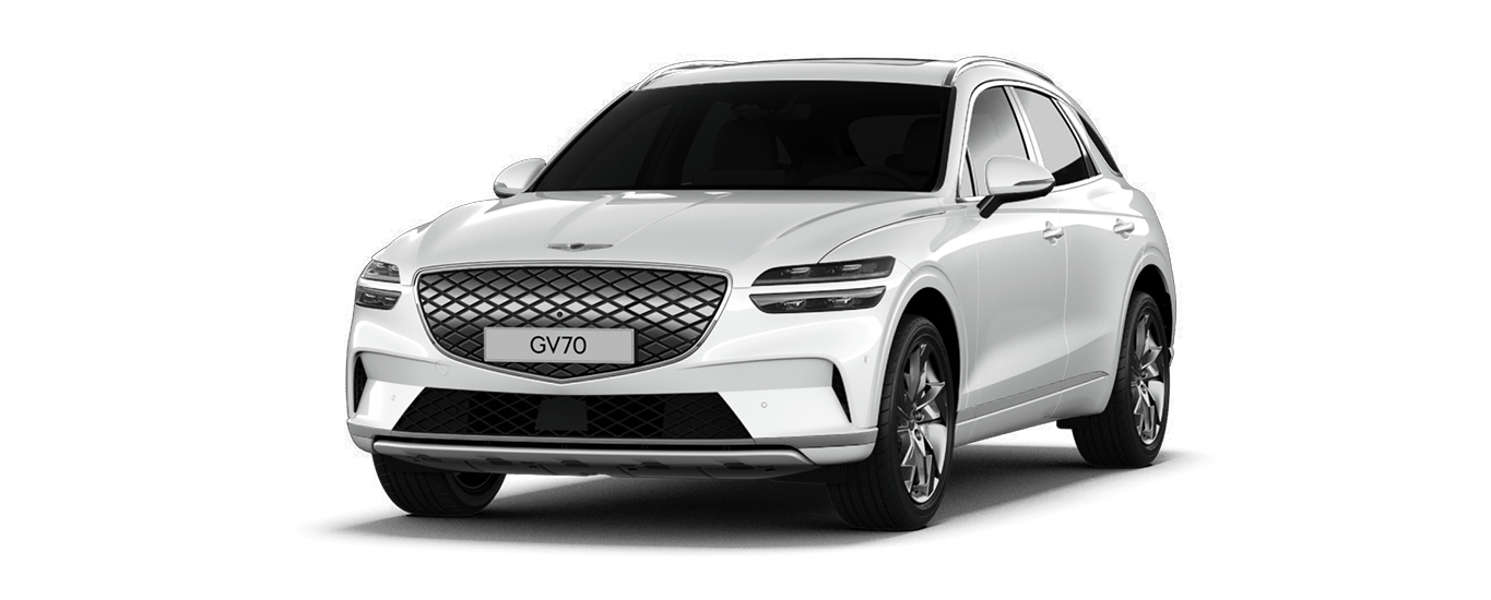 Genesis Owner's Manual